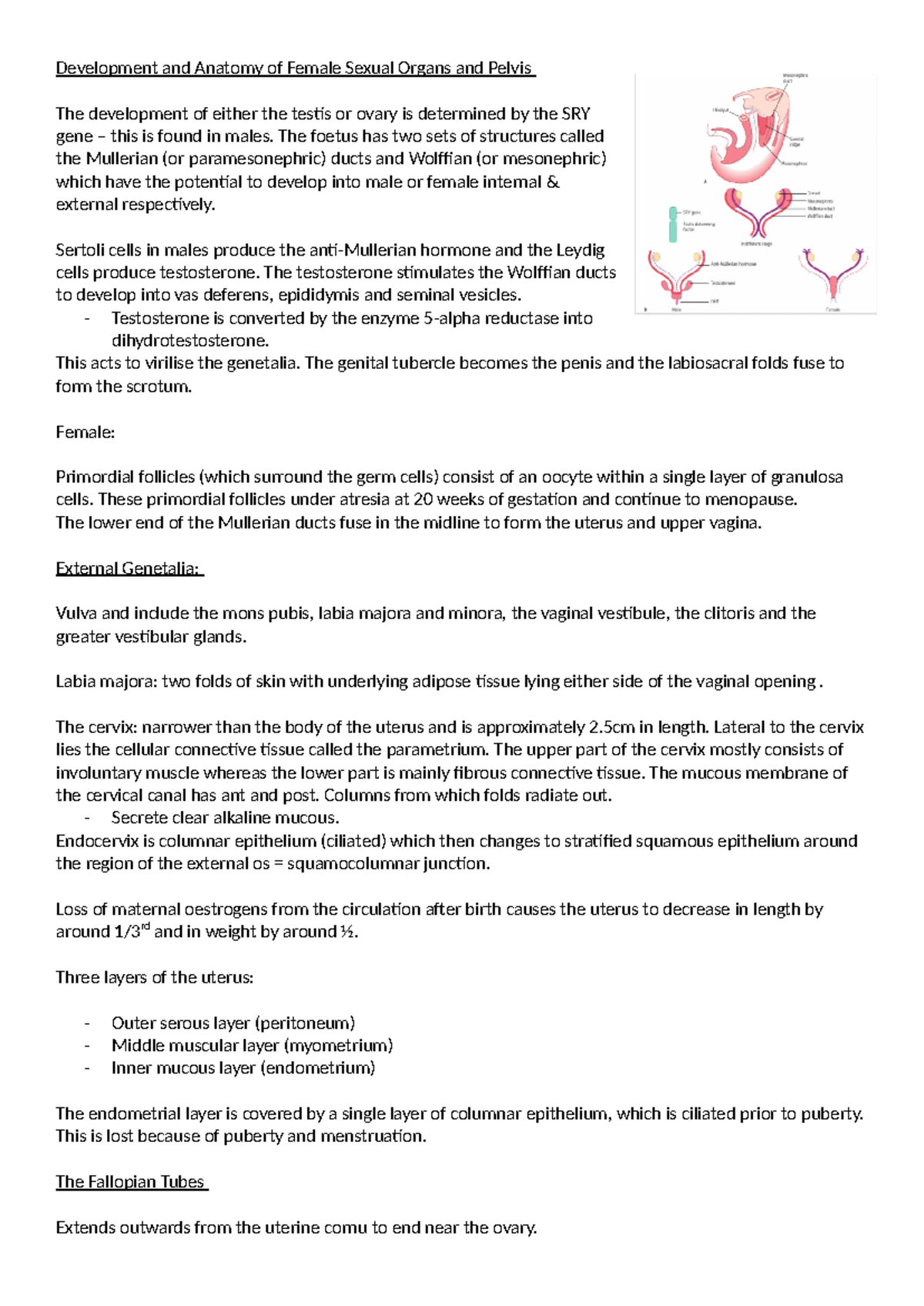 GOSH Reading - Development and Anatomy of Female Sexual Organs and ...