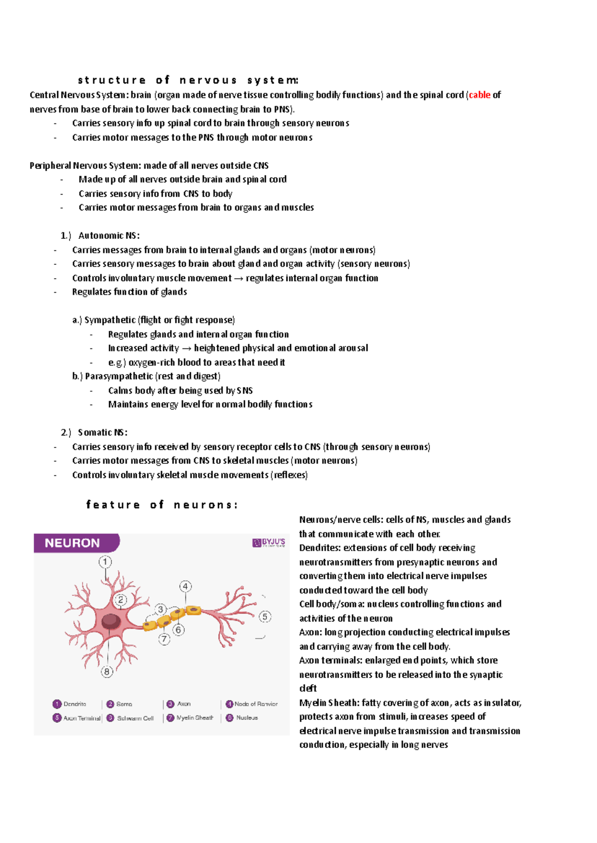 Psych 101 - Summary Notes: Nervous System Structure & Function - Studocu