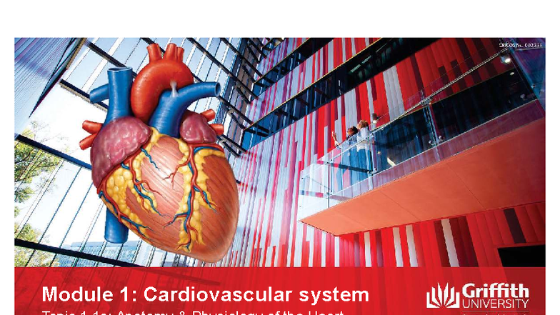 1017MSC Cardiovascular System Topic 1.1a: Anatomy & Physiology of the ...