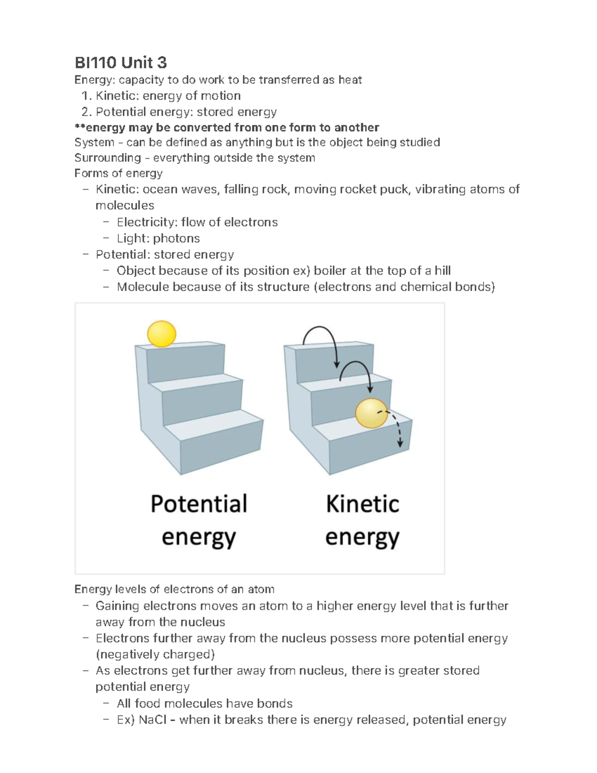 BI110 Unit 3 - Energy Transformations and Thermodynamics Notes - Studocu