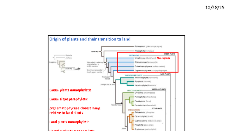 Origin and Evolution of Land Plants: Adaptations to Terrestrial Life ...