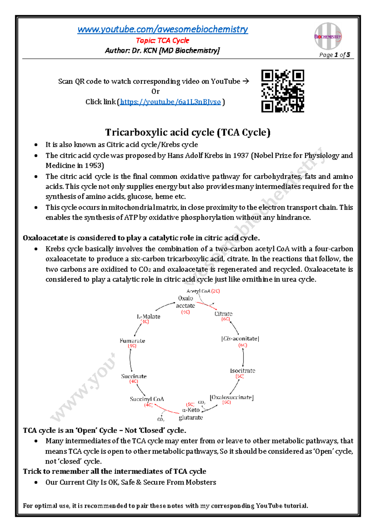 TCA Cycle Overview and Mechanisms - Insights by Dr. KCN [MD Biochem ...
