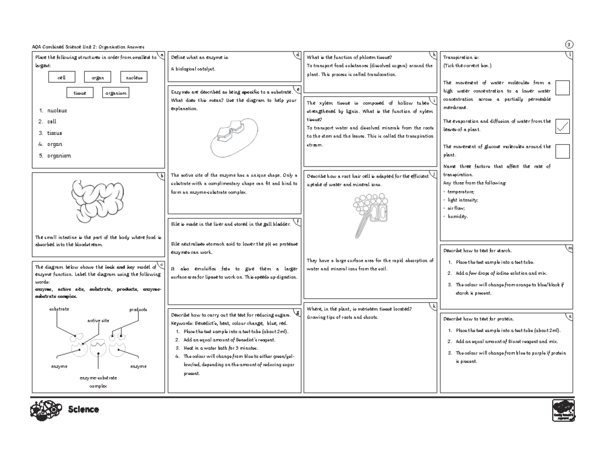 AQA Combined Science Unit 2: Organisation Revision Answers - Studocu