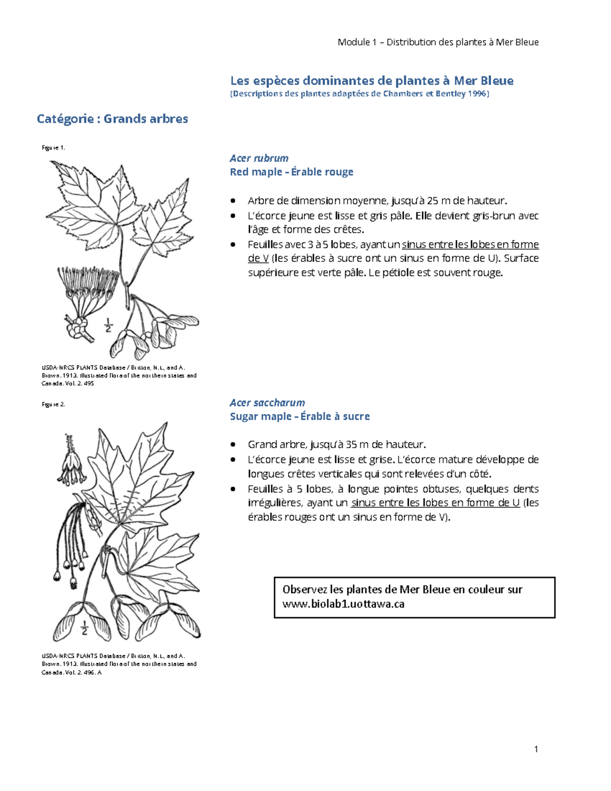Bio1530 Final Exam Notes: Distribution des Plantes à Mer Bleue - Studocu