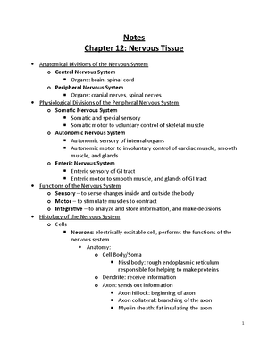 Understanding Human Anatomy & Physiology: Key Concepts Overview ...