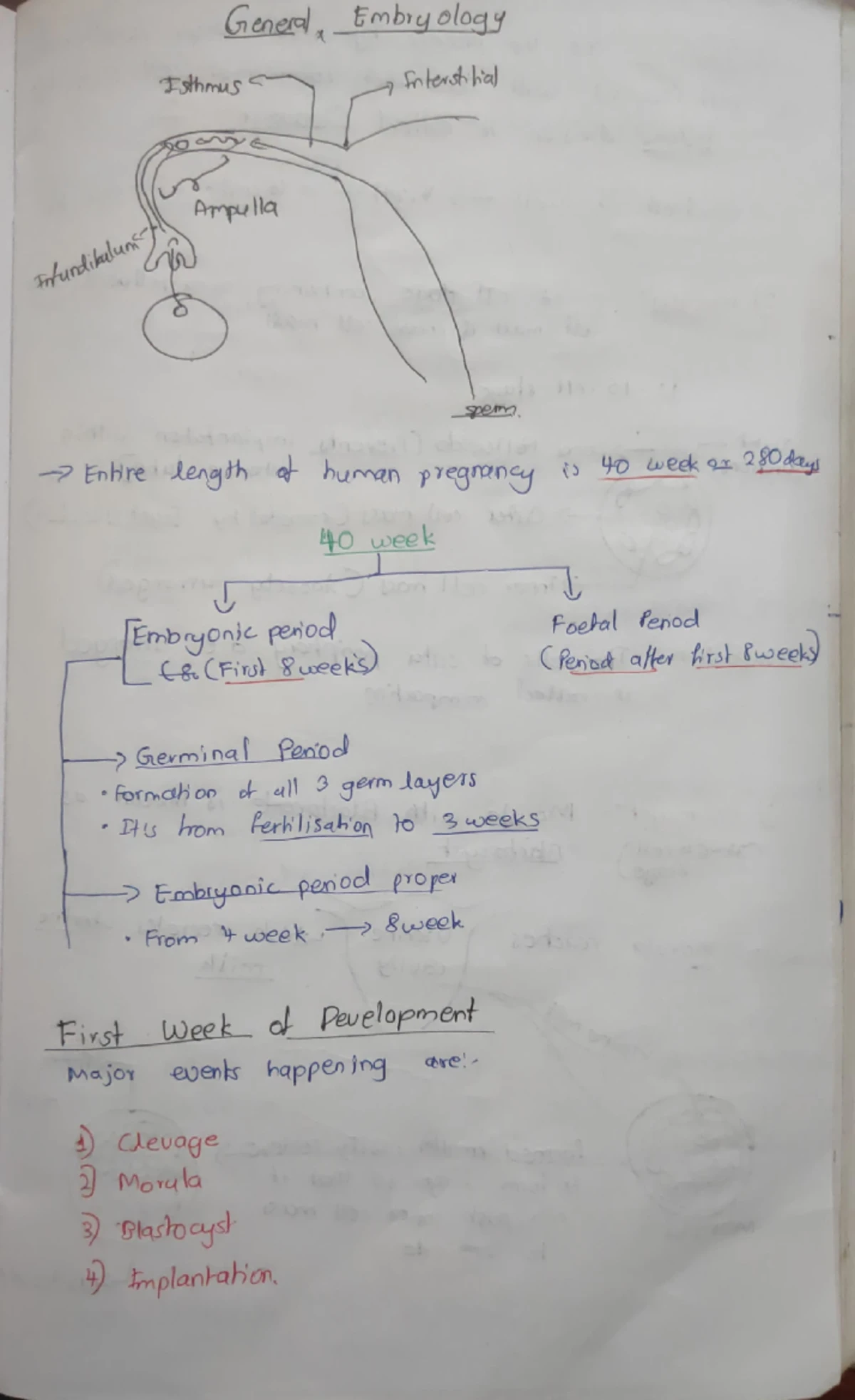 BCBR - Review 1 - Key Insights and Research Compilation - Studocu