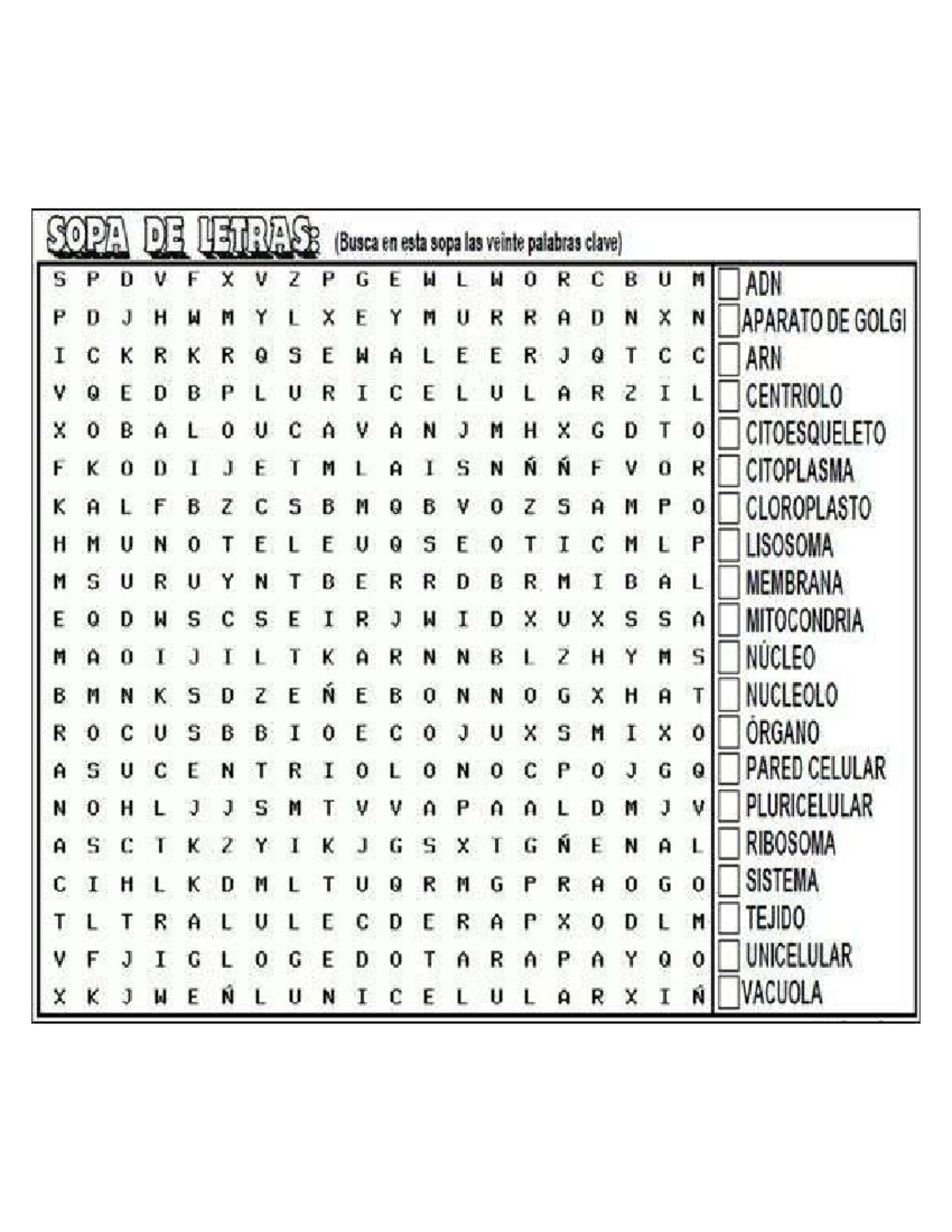 Sopas DE Letras DE LA Celula - Sopa de letras de Célula Eucariota y ...