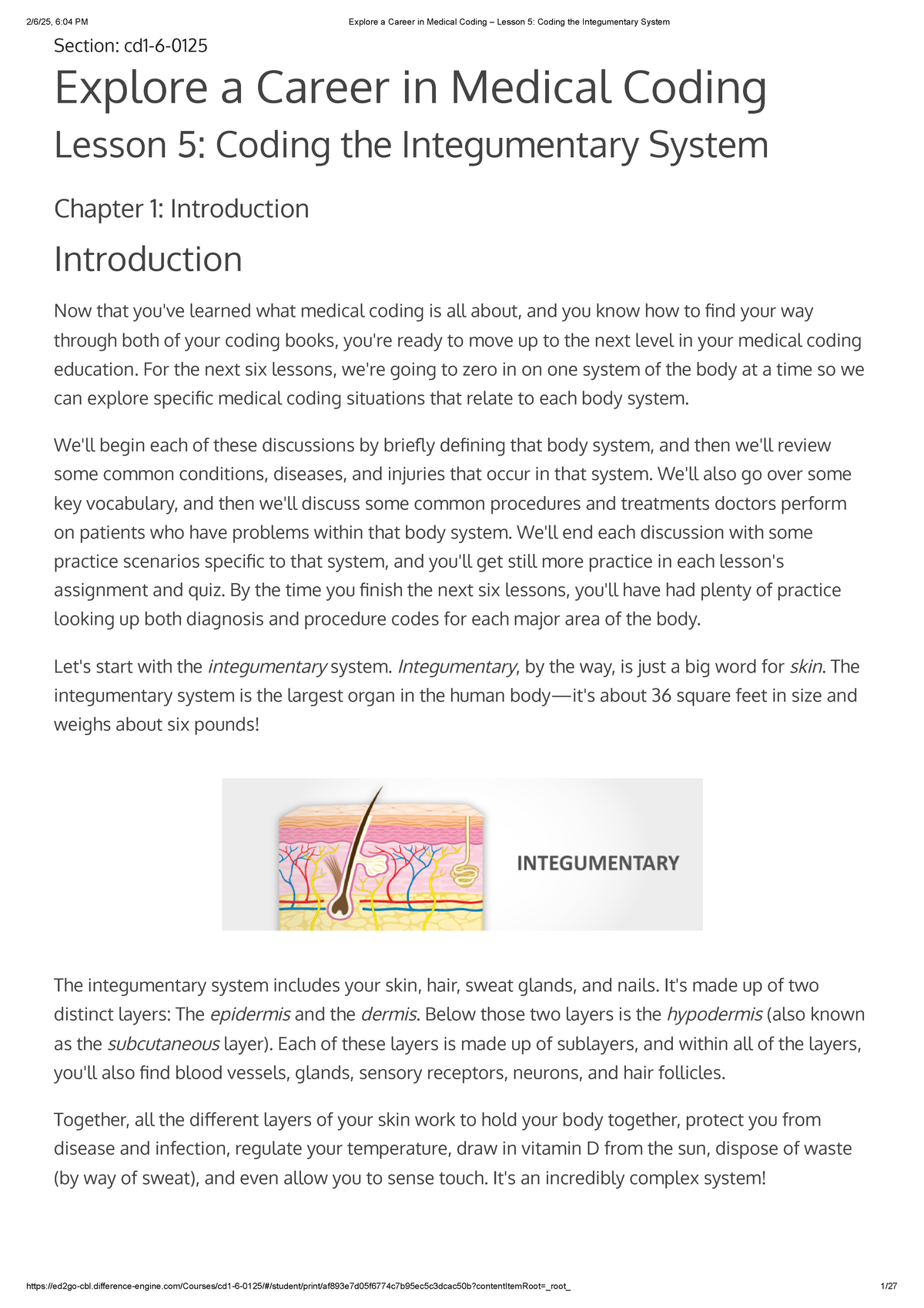 Explore a Career in Medical Coding - Lesson 5: Integumentary System ...