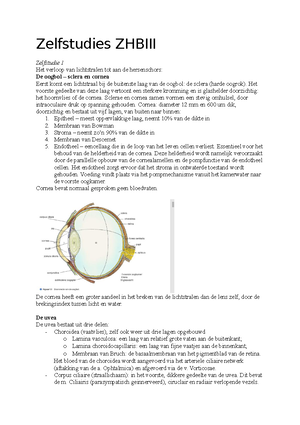 Anatomie - Anatomie Orbita: De positie van de orbitae in de schedel ...