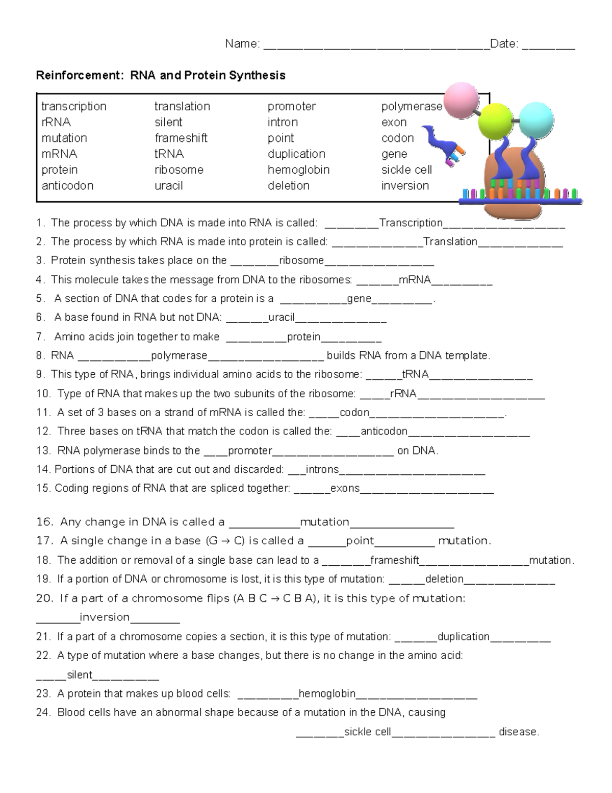 RNA and Protein Synthesis Reinforcement Notes (Bio 101) - Studocu