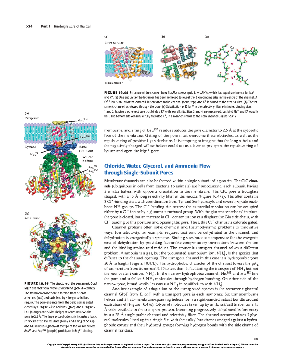 Biochemistry (2)-126 - N/A - 334 Part 1 Building Blocks of the Cell NEL ...