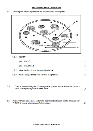 GP Life Sciences Grade 11 Practical Task 2021 Term 3: Gaseous Exchange ...
