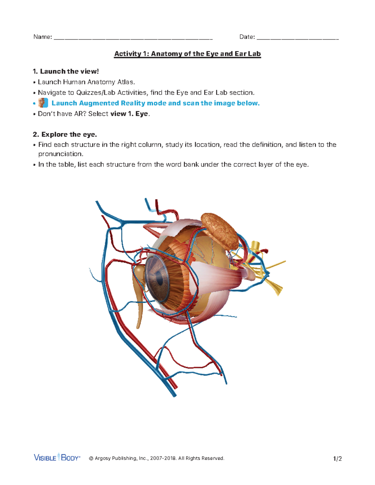 Eye and Ear Lab (Anatomy) - Activities and Structure Exploration - Studocu