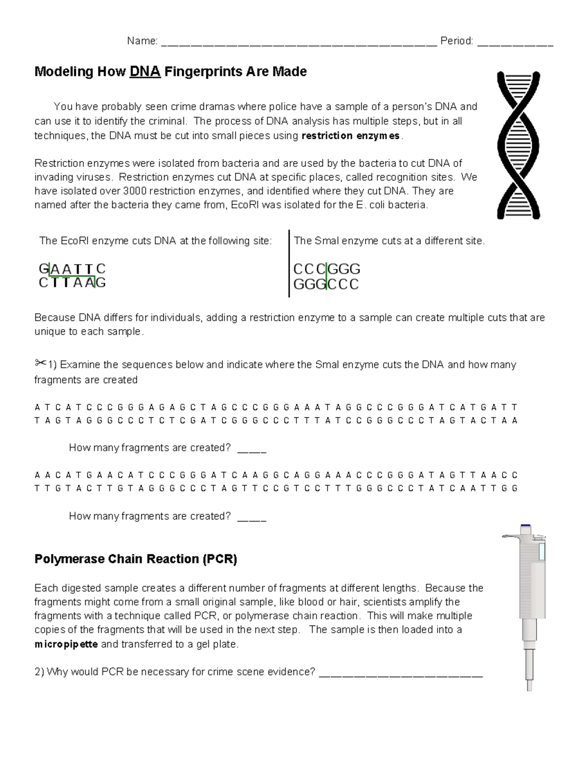 Using DNA: How DNA Fingerprints Are Made (BIO 101 Lecture Notes) - Studocu