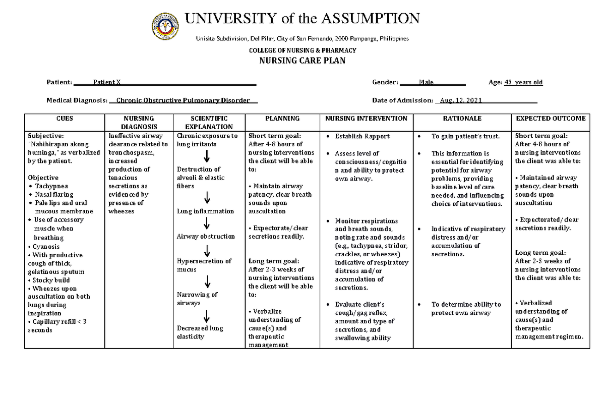 Nursing Care Plan for COPD - BSU - Studocu