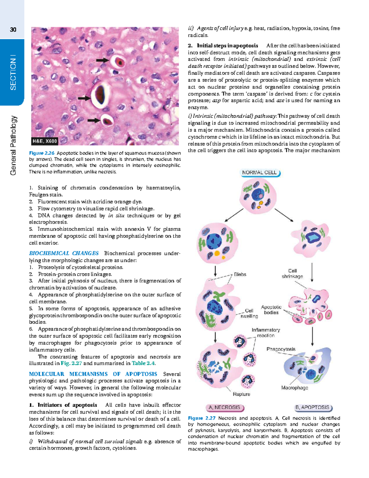 General Pathology Overview - Harsh Mohan's Textbook, 7th Ed. - Studocu