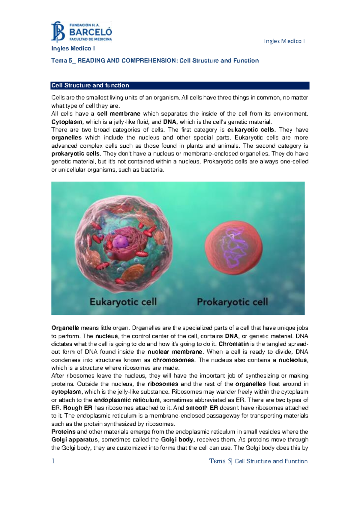 IM1 Tema 5: Cell Structure and Function Overview - Studocu