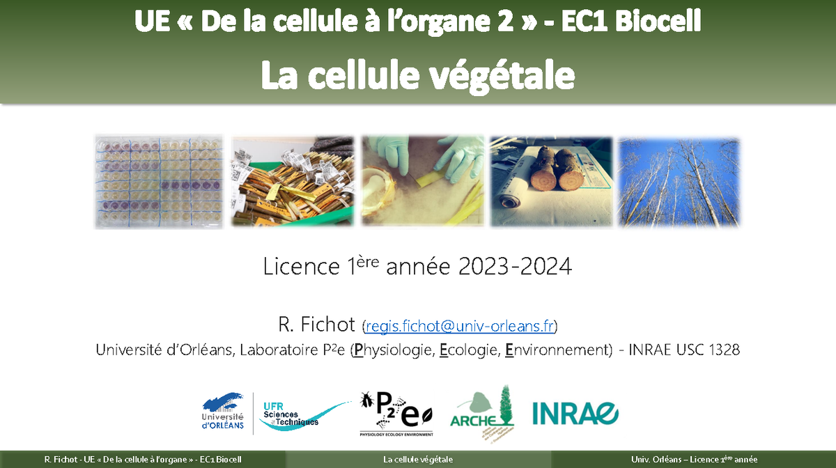 Cellule végé - cours - R. Fichot (regis@univ-orleans) Licence 1 ère année 2023 - 2024 Université ...