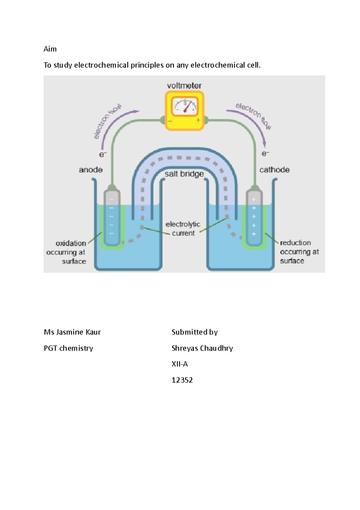 Chemistry Investigatory Project - Electrochemical Cells (Class 12 ...