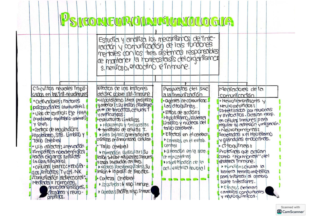 Mapa Conceptual: Mecanismos de Comunicación y Homeostasis en Salud ...