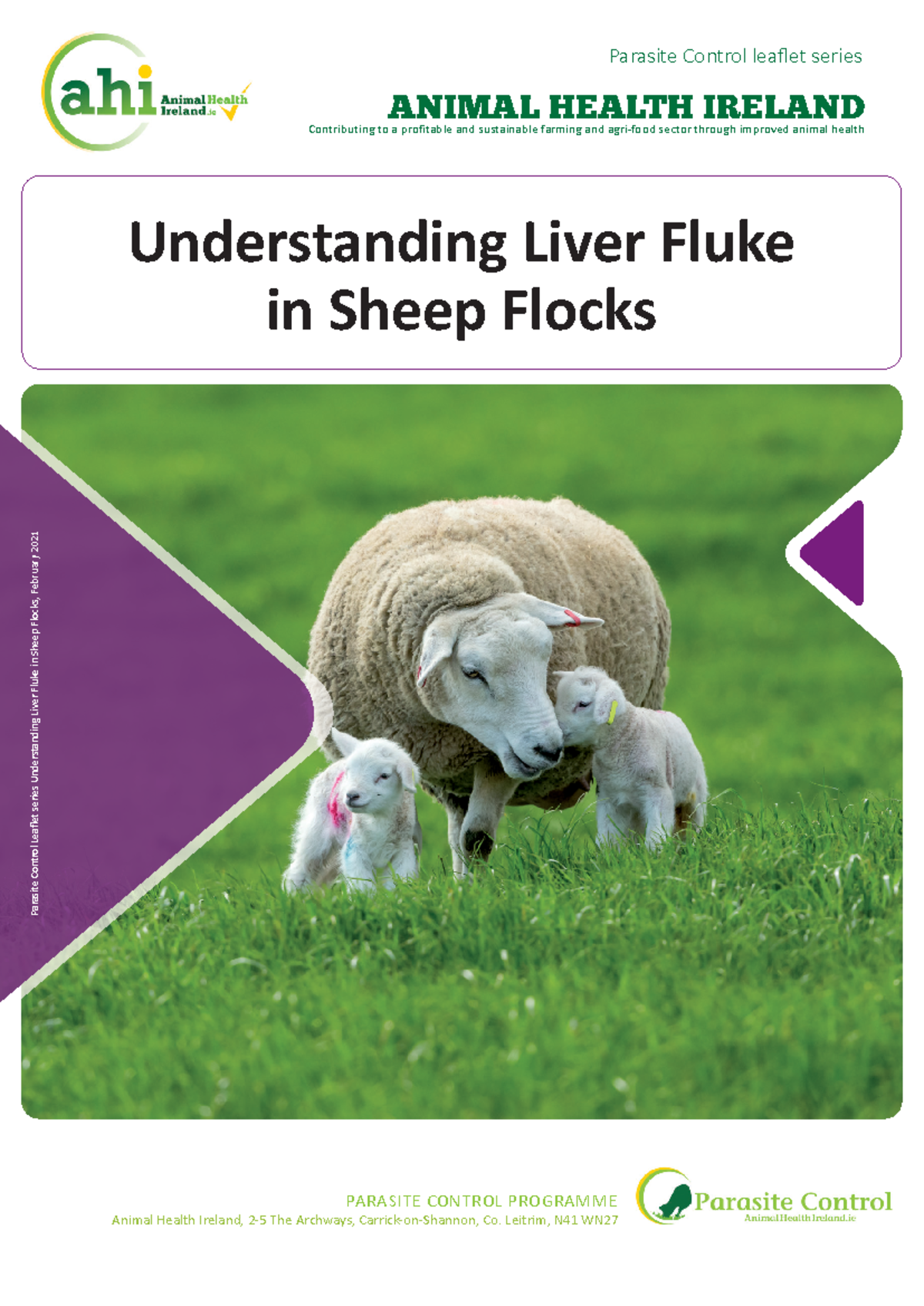 AHI Final Exam Notes on Parasite Control: Understanding Liver Fluke in ...