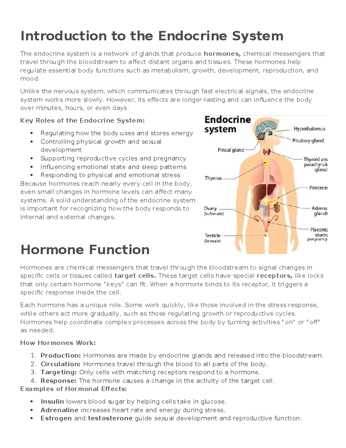 Lesson 8: Anatomy and Physiology of the Endocrine System - Studocu