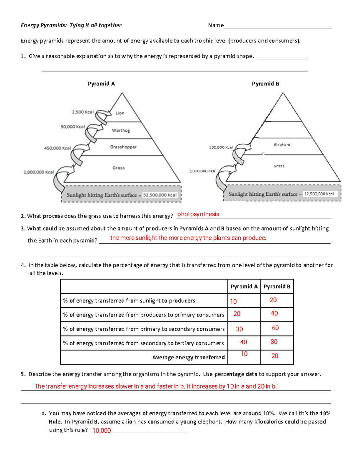 Energy Pyramids: Understanding Trophic Levels and Energy Transfer - Studocu