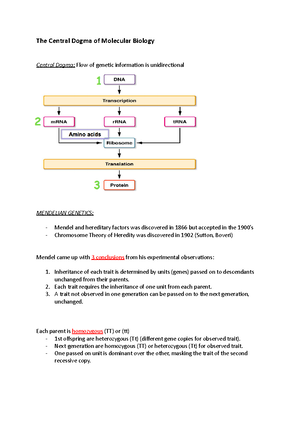 [Solved] Describe in molecular detail how transcription of the lac ...