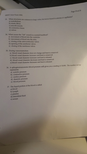 Smudge Cells in CLL: Pathophysiology, Lab Considerations & Clinical ...