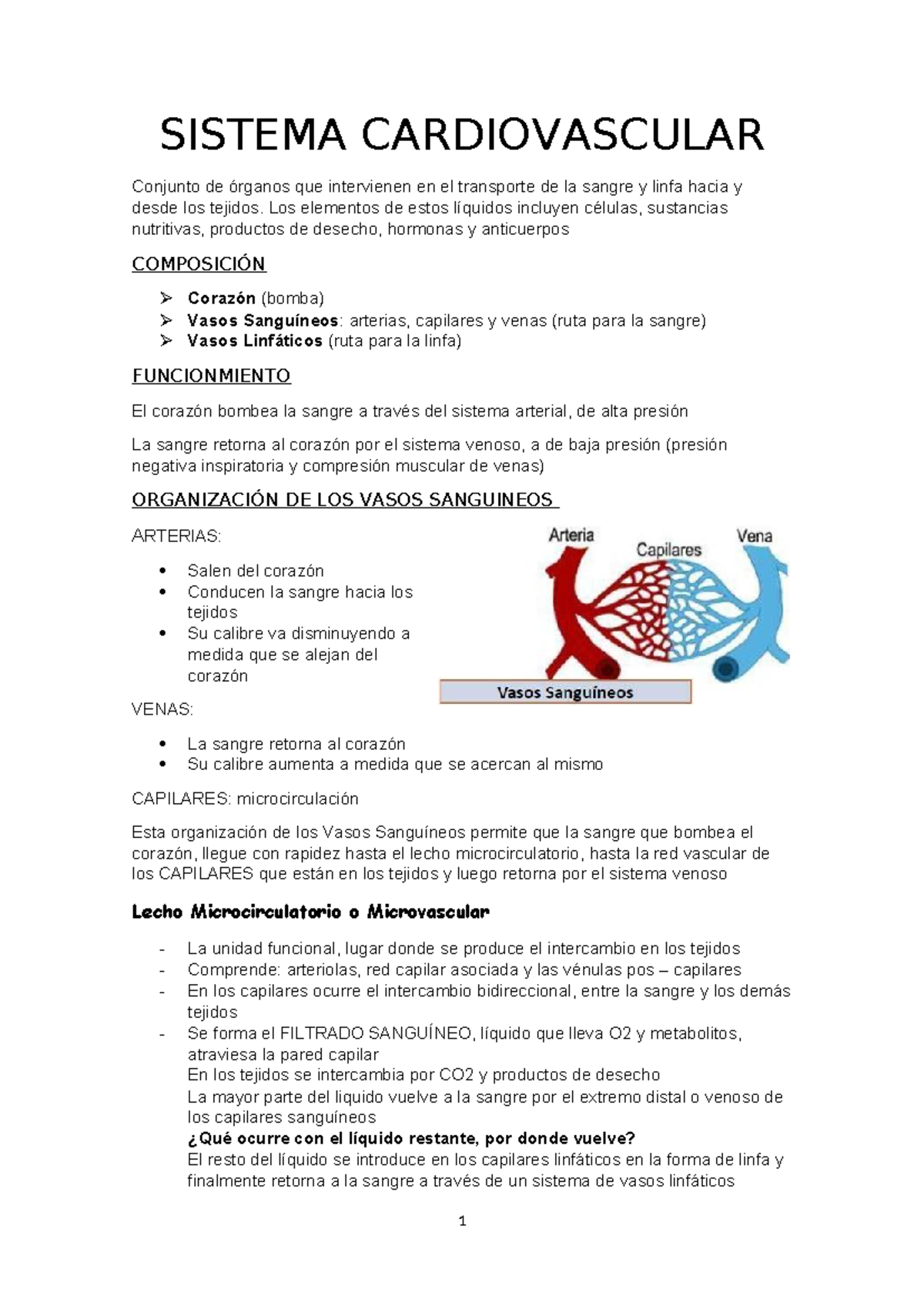 Resumen del Sistema Cardiovascular: Estructura y Función - Studocu