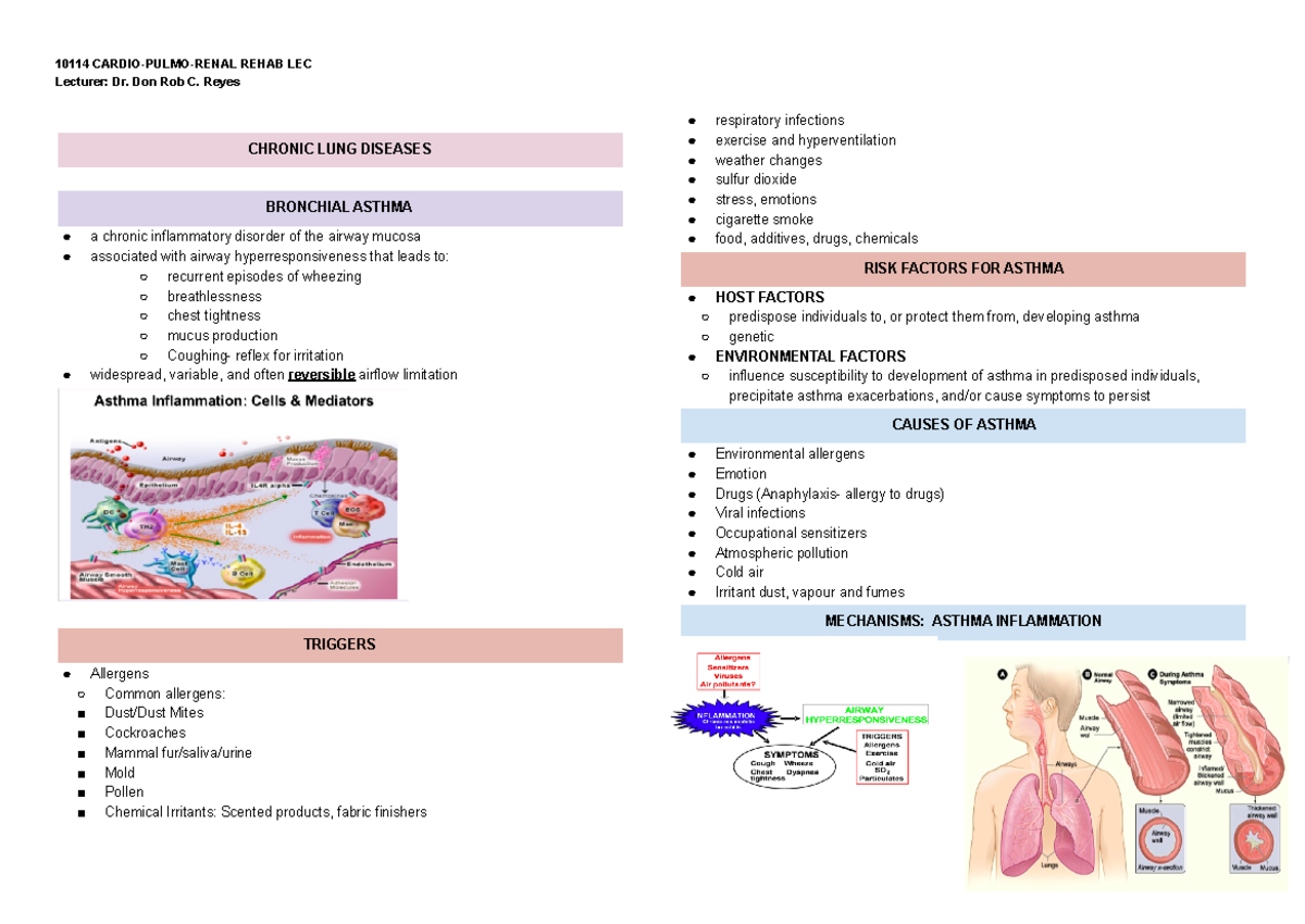 10114 Chronic LUNG Diseases - Lecturer: Dr. Don Rob C. Reyes CHRONIC ...