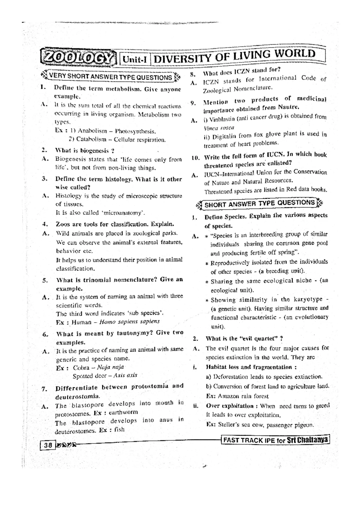 Zoology baby bullet inter junior - Intermediate bipc - Studocu