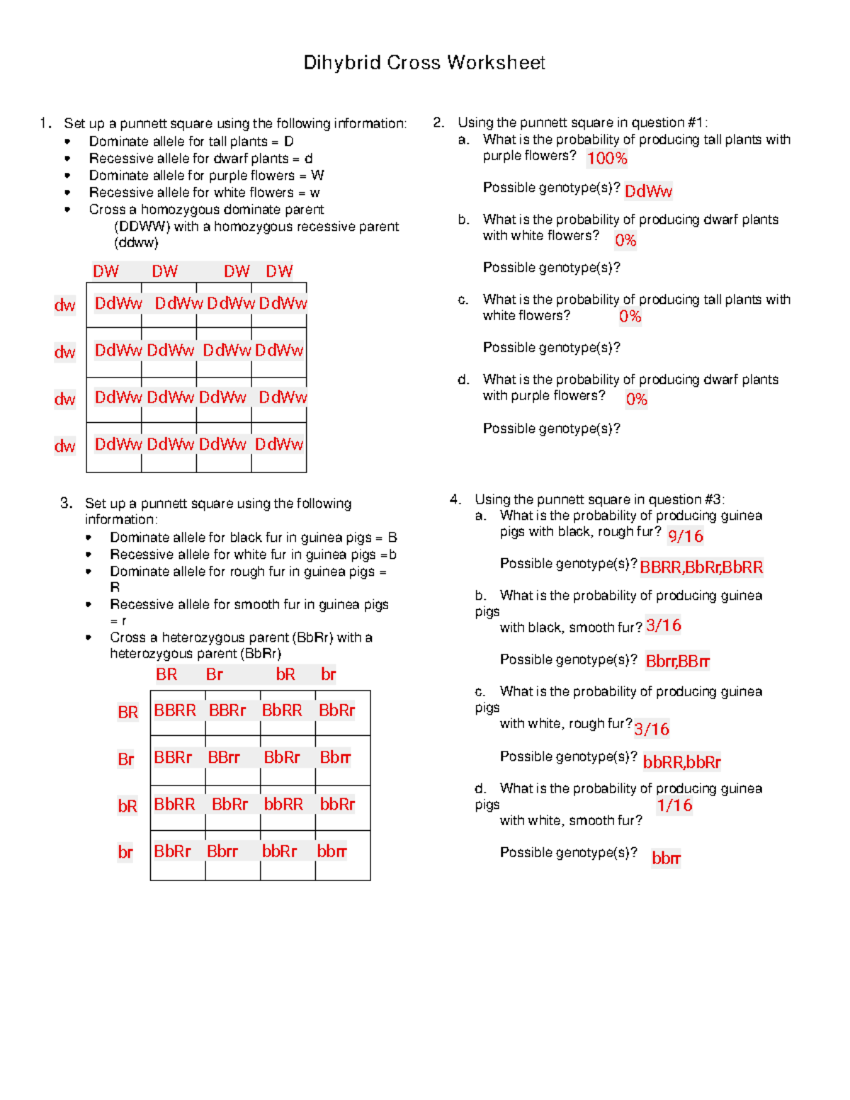 Dihybrid Cross Worksheet - Genetics Lab Exercises - Studocu