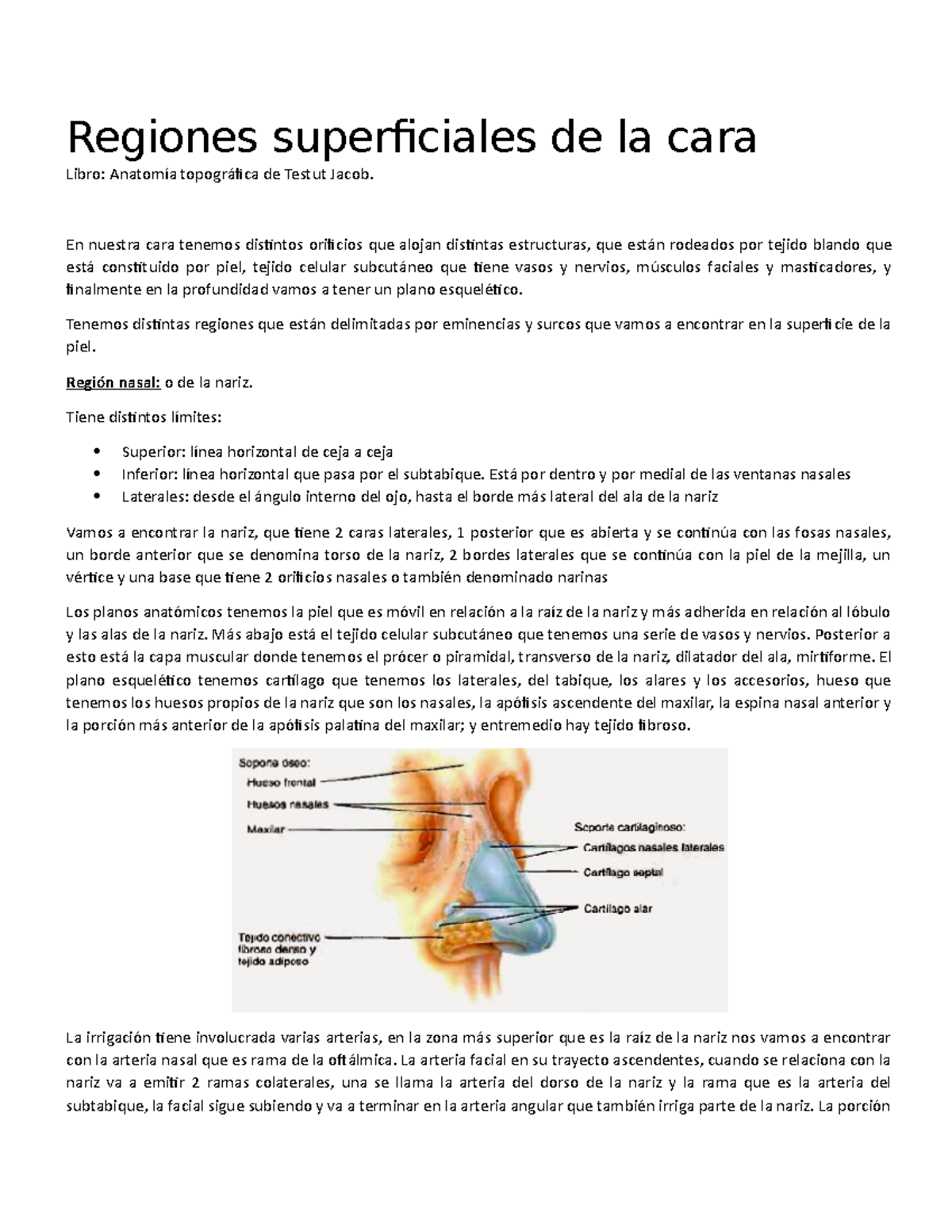 10-11.Regiones superficiales de la cara - Regiones superficiales de la ...