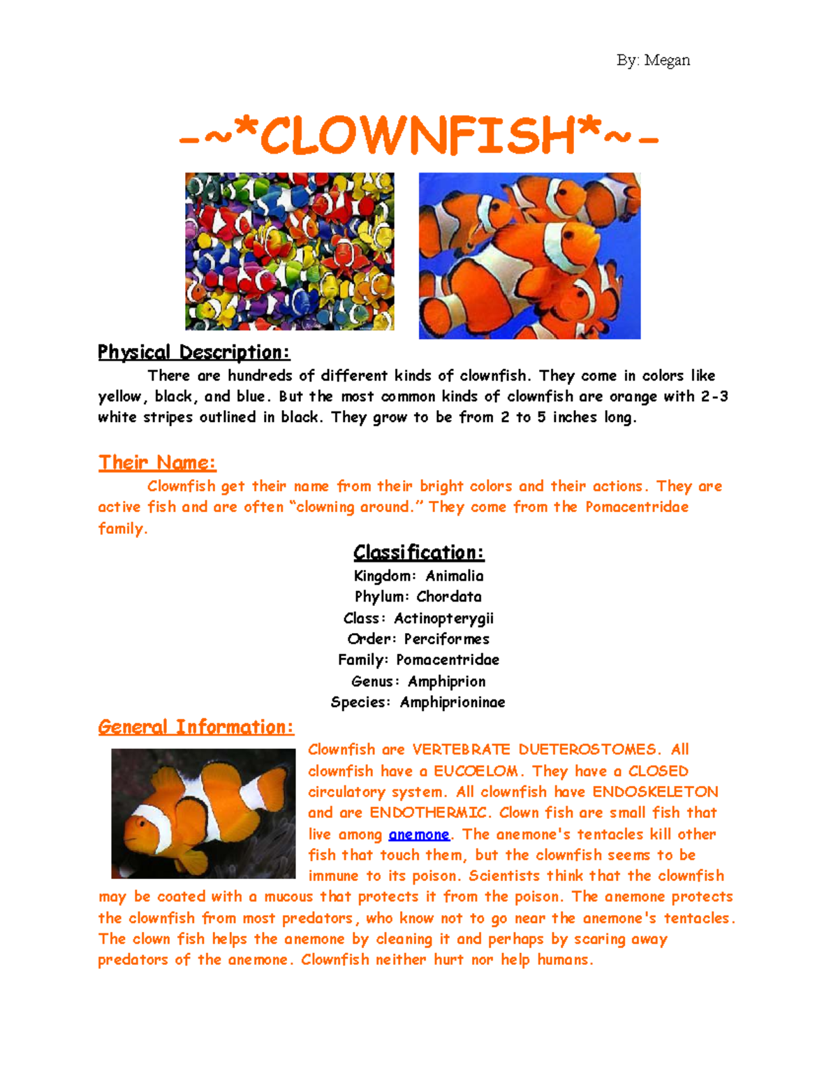 Biology 101: Clownfish Anatomy and Behavior Overview - Studocu