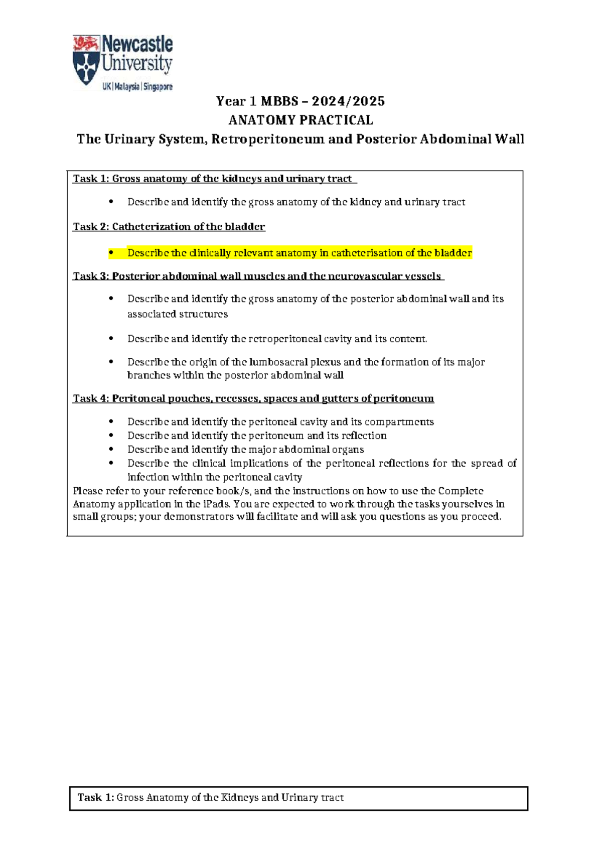 Year 1 MBBS Anatomy Practical: Urinary System & Posterior Abdominal ...