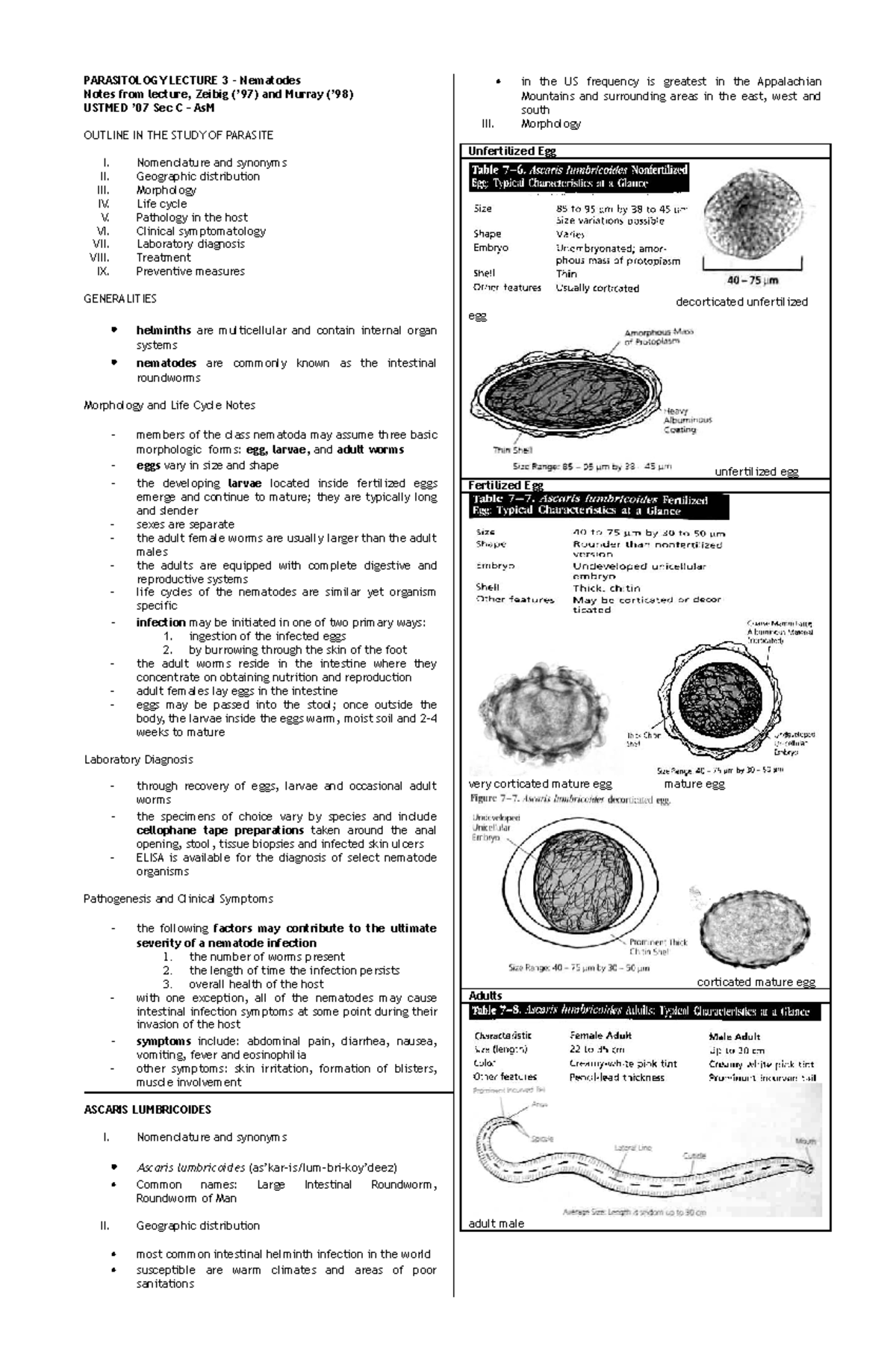 Parasitology Lecture 3: Nematodes Overview and Key Concepts - Studocu