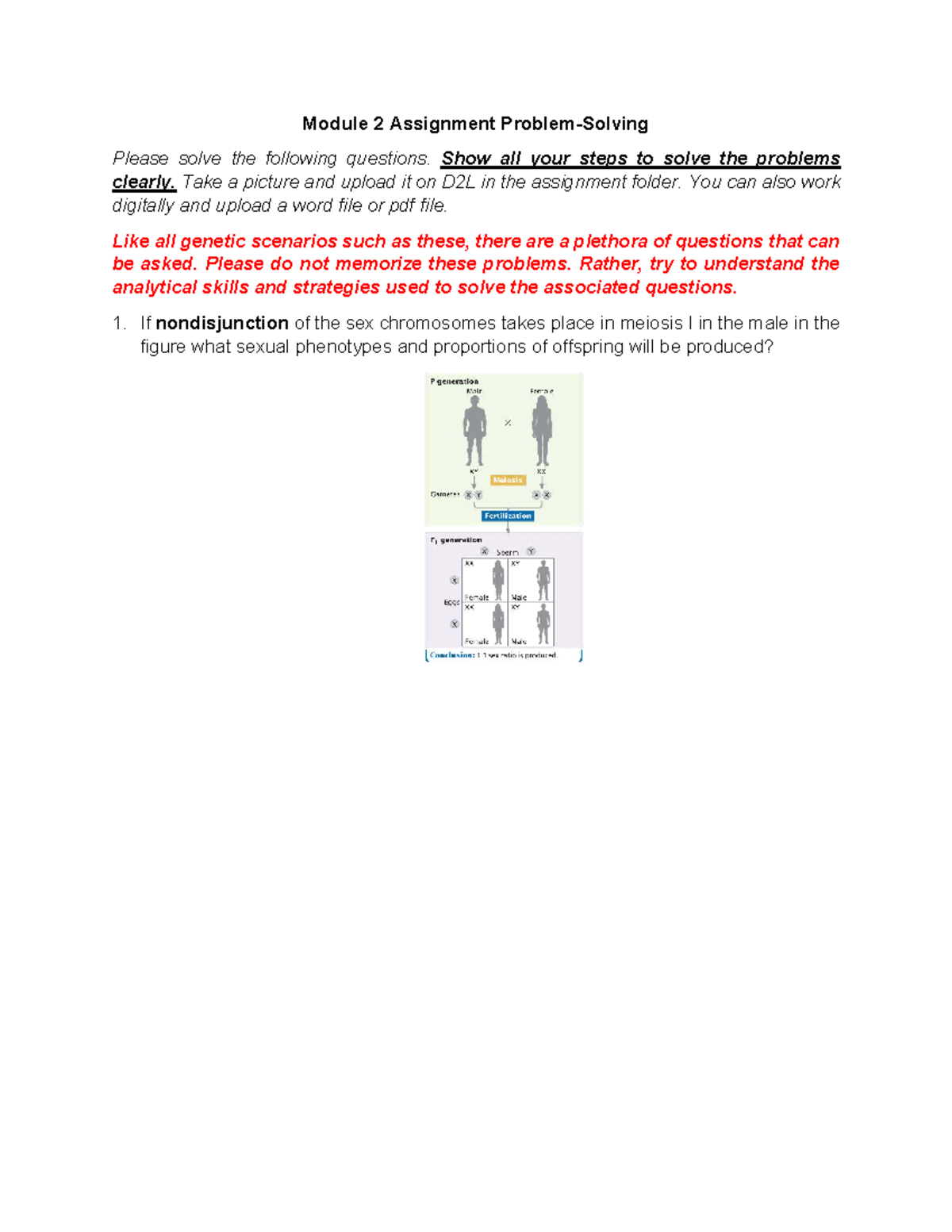 Module 2 Assignment: Genetics Problems from Chapters 4, 5, and 6 - Studocu