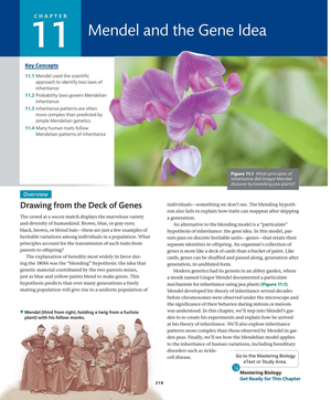 Genetics 101: Comprehensive Guide on Inheritance, Variation & Gene ...
