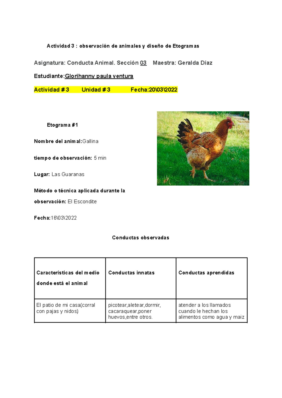 Conducta animal T 3 U 3 - Actividad 3 : observación de animales y ...