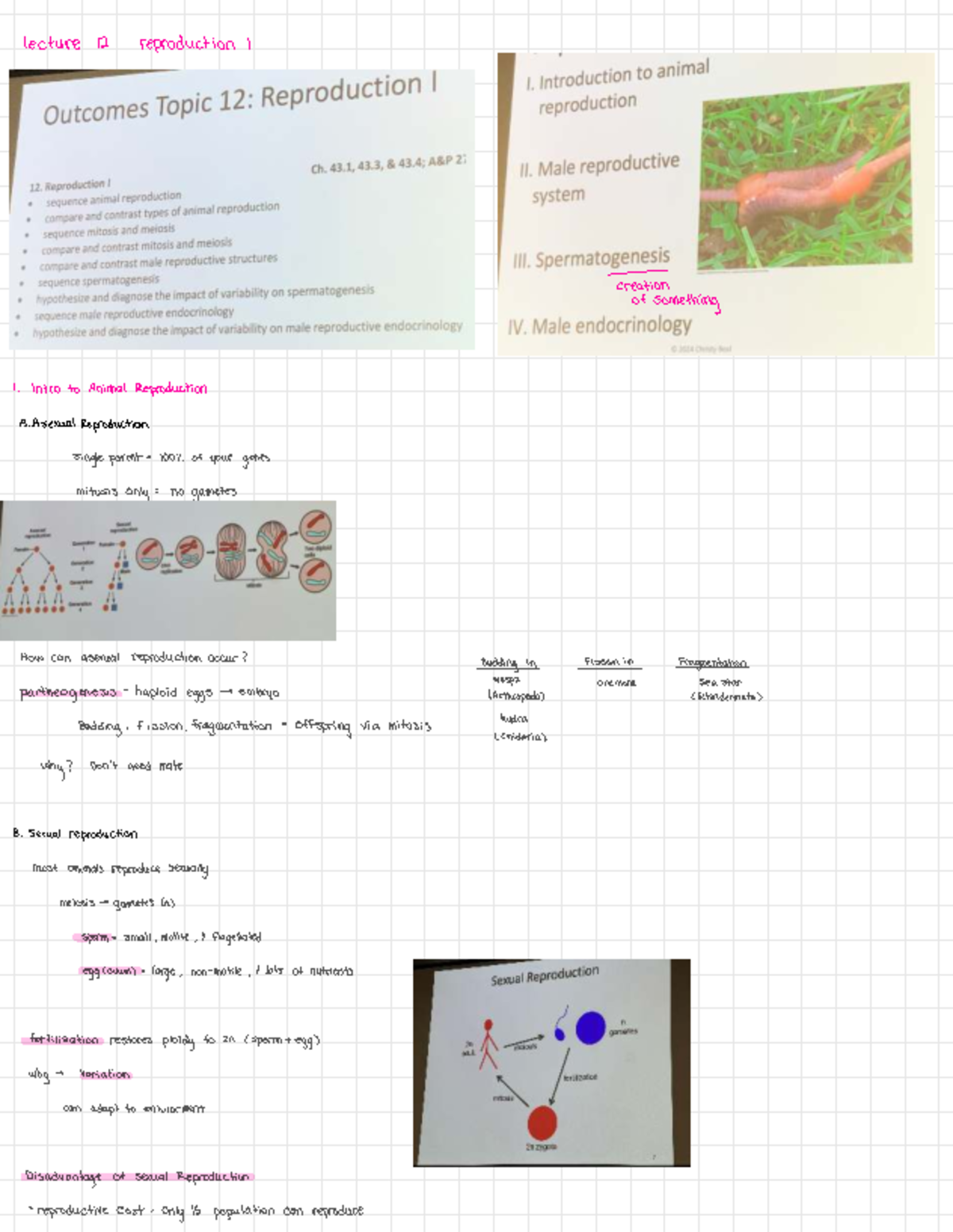 Gen Bio 4 - devlopment - lecture 12 reproduction creation of something ...