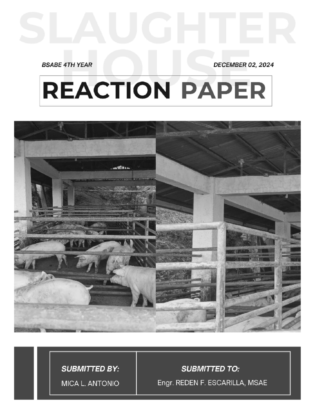 Antonio MICA- Slaughterhouse - INTRODUCTION A slaughterhouse facility ...