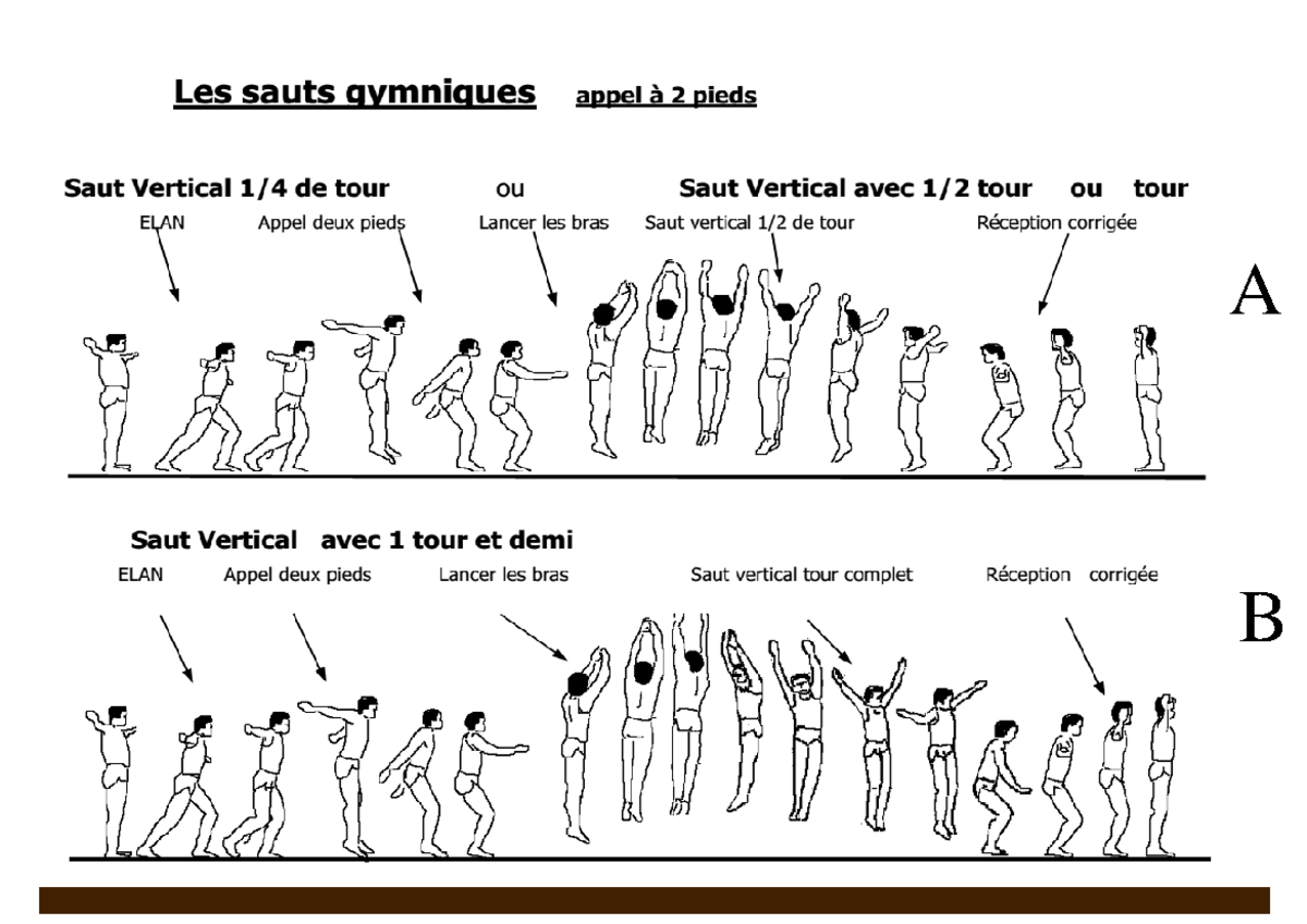 Module 1 et 3 APS Support : Gymnastique Lycée Tarik Ibn Ziad - Studocu