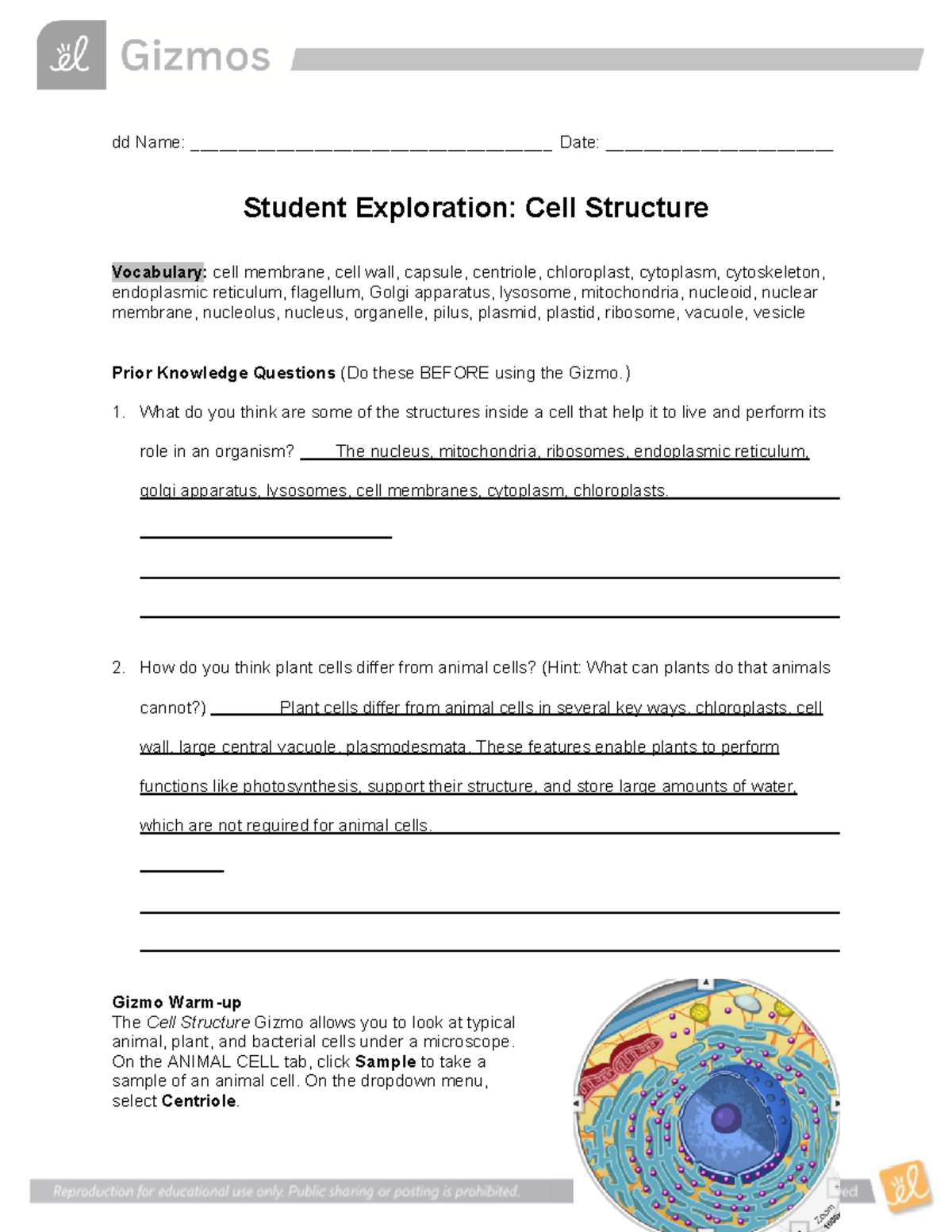 Kami Export - Cell Structure SE (3) - dd Name ...