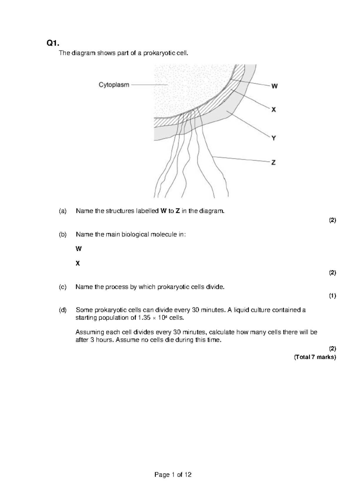 Final Exam: Cell Structure and Cycle MCQ & Mark Scheme (BIOL 101) - Studocu