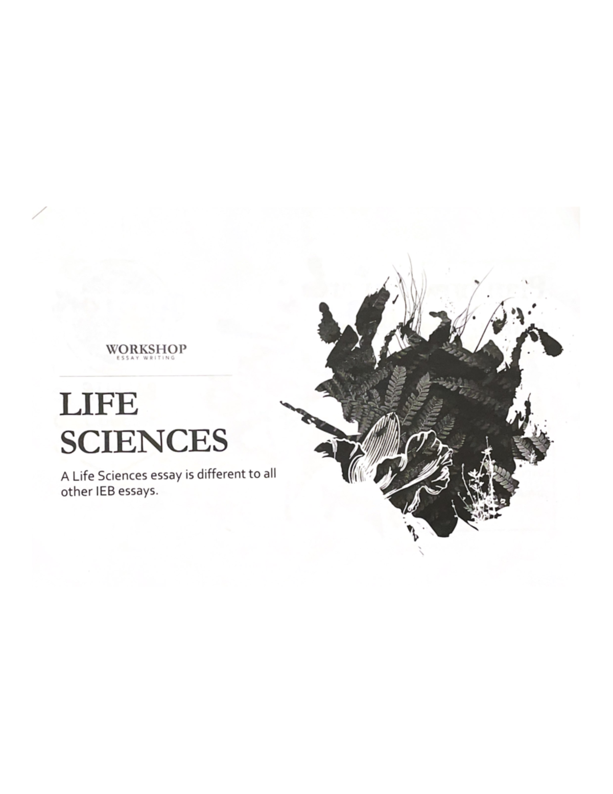 IEB BIO Essay Writing Workshop: Skills and Strategies Guide - Studocu