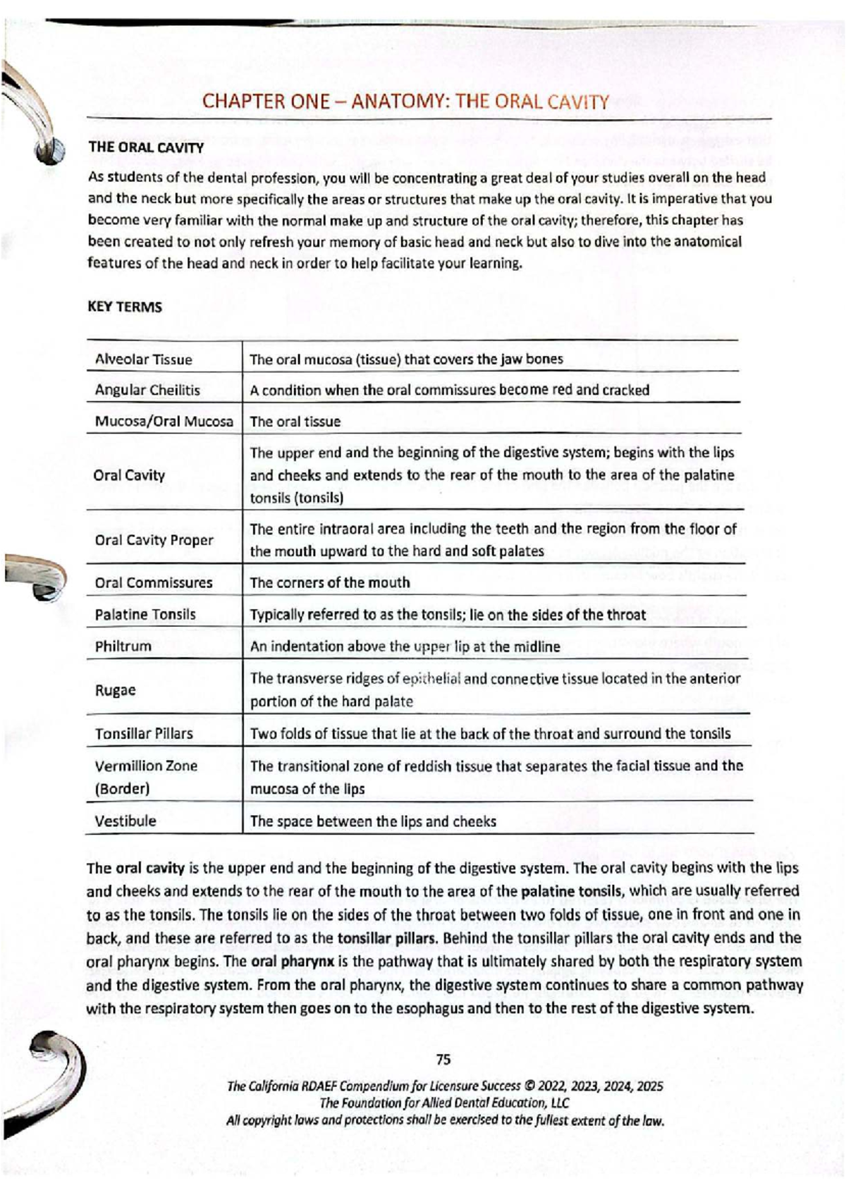 California RDAEF Compendium: Anatomy of the Oral Cavity and Teeth - Studocu