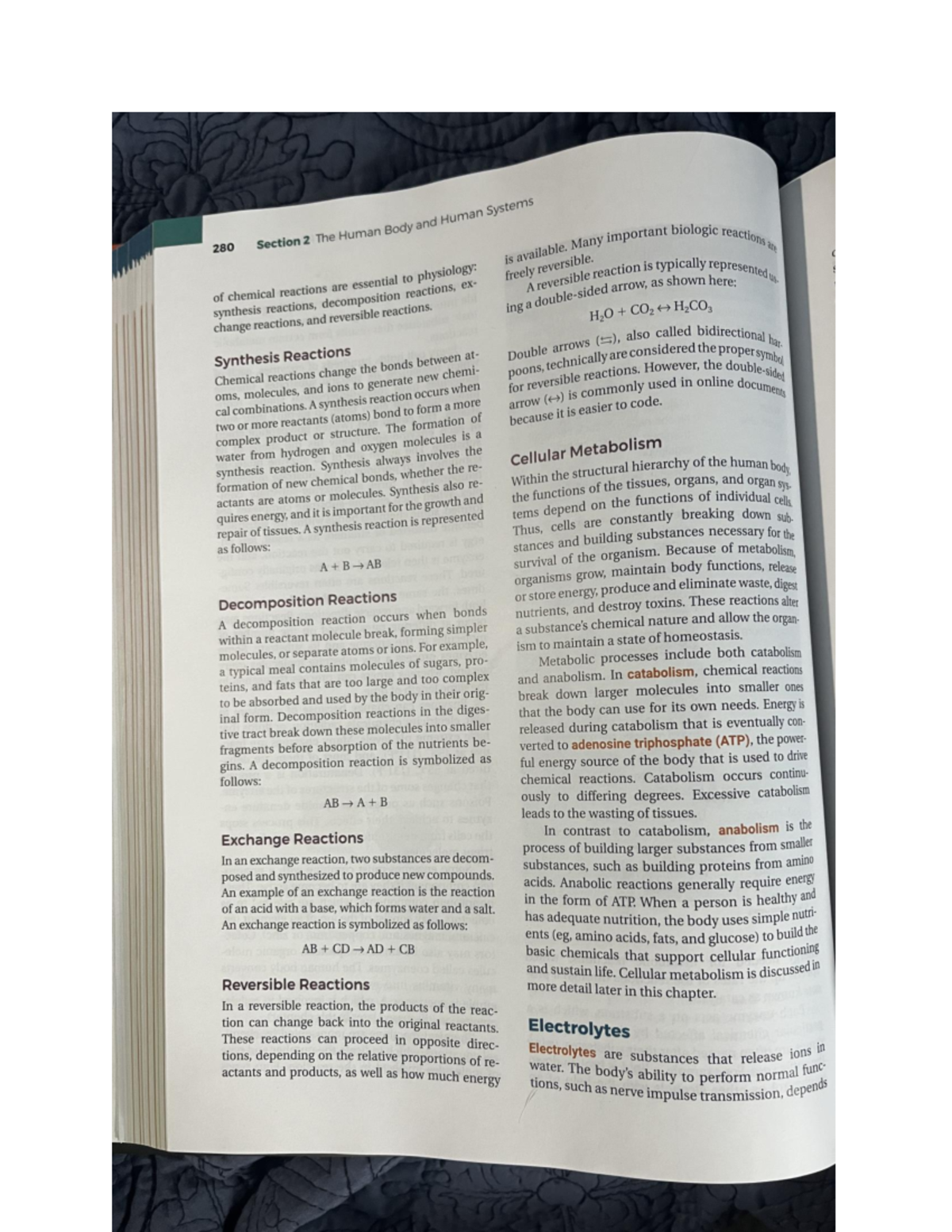 CODES 101: Human Body Systems and Chemical Reactions Overview - Studocu