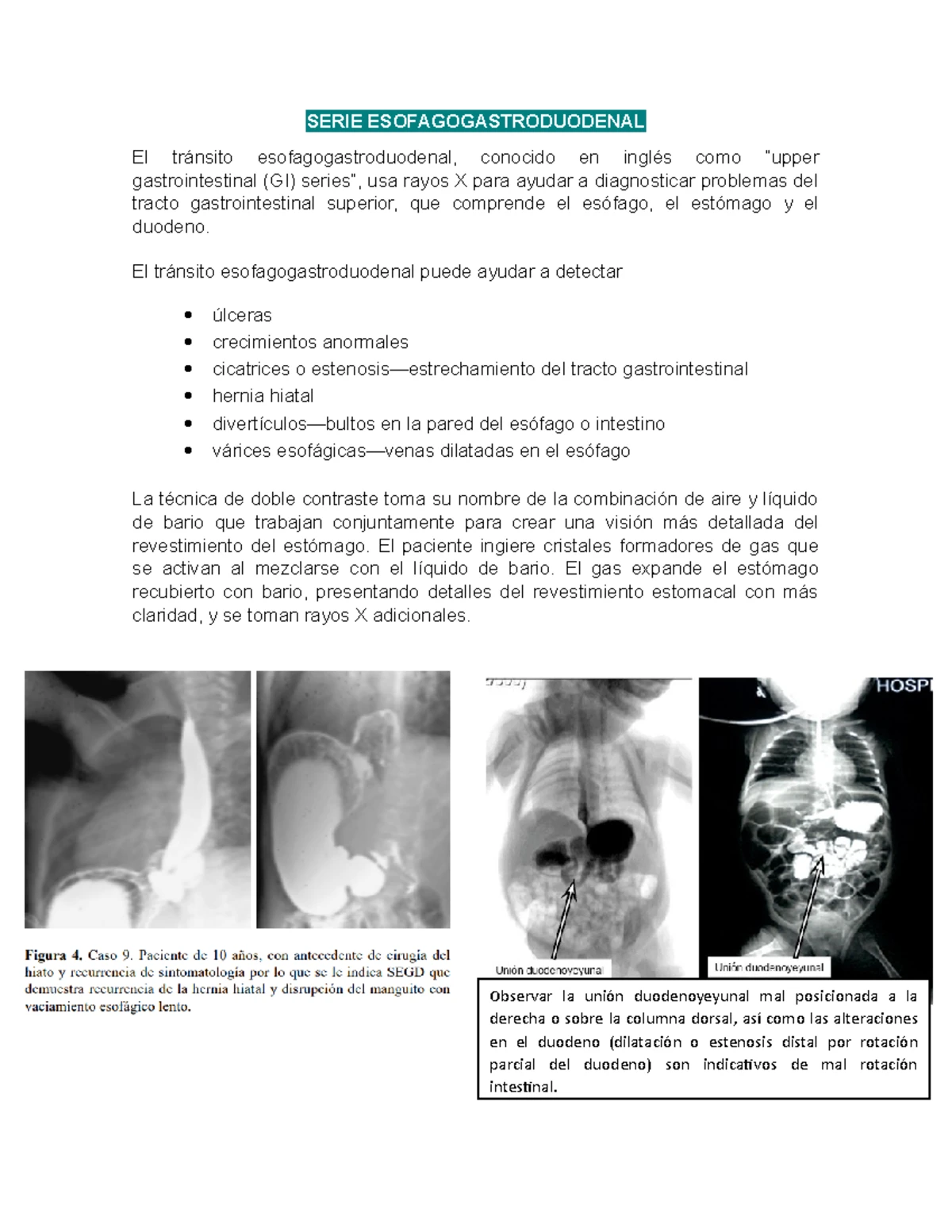 Anatomía de la Región Selar y Glándula Hipófisis - Estudio Completo ...