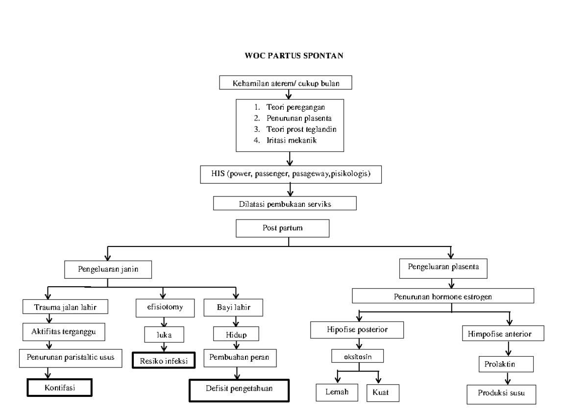 WOC Partus Spontan: Teori dan Proses Persalinan Normal - Studocu